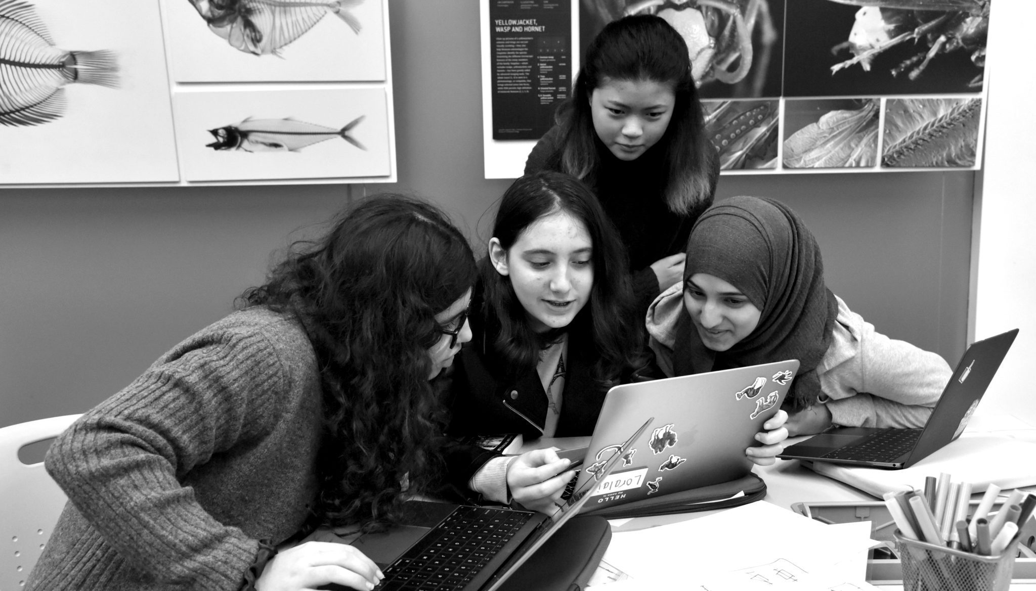 BridgeUP STEM | National Center for Women & Information Technology